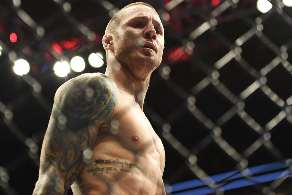 Eddie Wineland vs Alejandro Perez na UFC Boise | MMAROCKS