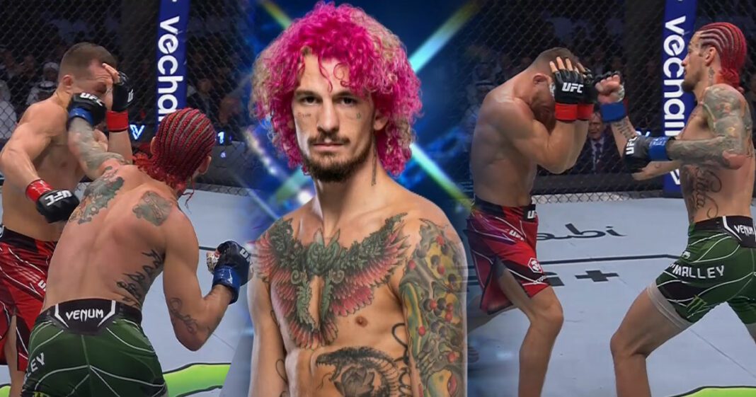 UFC 280: Wielkie emocje i niejednogłośna decyzja! O'Malley zwyciężył z ...