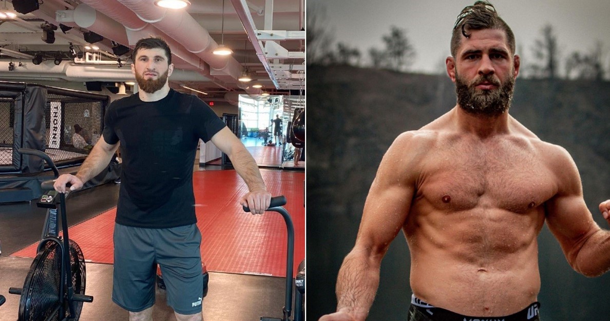 Paul Craig: "O tytuł powinni zawalczyć Ankalaev z Prochazką" | MMAROCKS