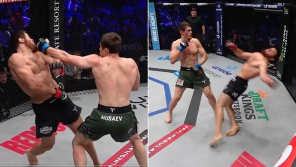 Shamil MUSAEV znów nokautuje! Niepokonany "The Silent Assassin" w ...