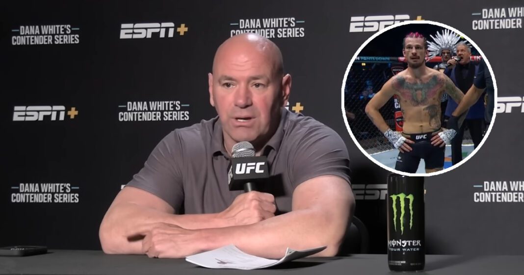 Dana White zapewnia, że UFC nie wiedziało o kontuzji O'Malleya. "Jak ...