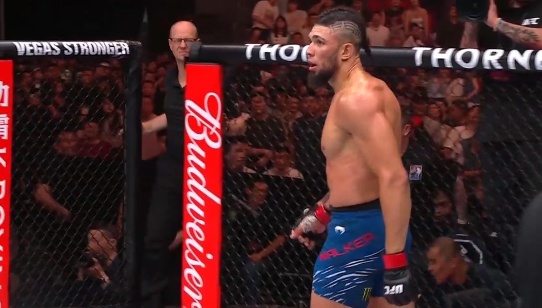 Johnny Walker znokautował Mingyanga Zhanga w walce wieczoru gali UFC w ...