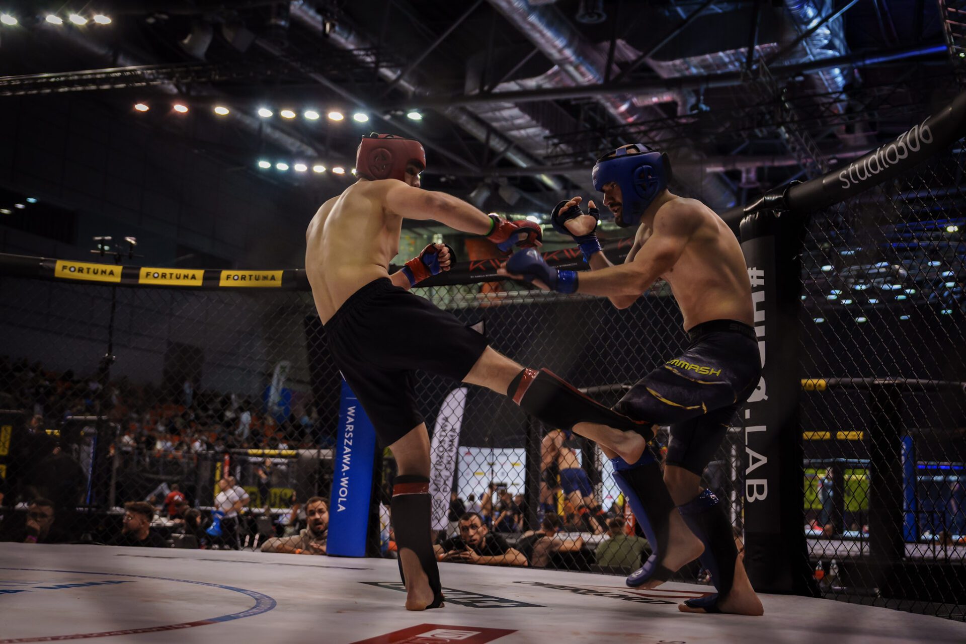 15. Mistrzostwa MMA - zapowiedź wideo | MMAROCKS